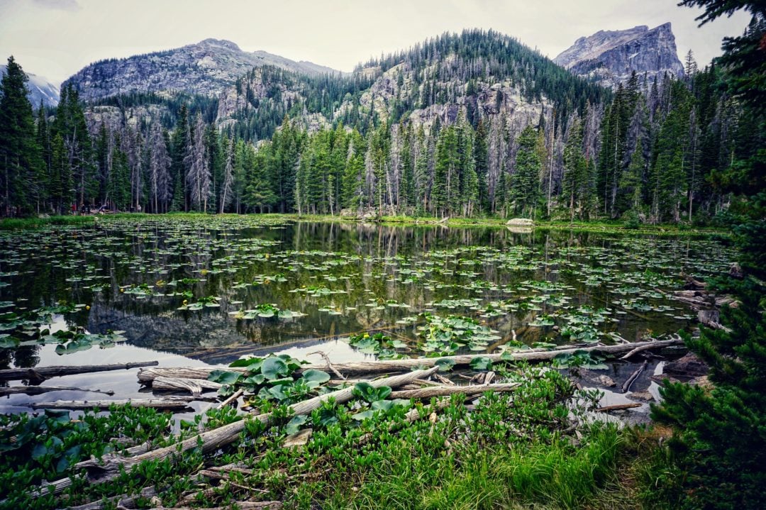 Starting Your Hike At Bear Lake Trailhead in Rocky Mountain National Park
