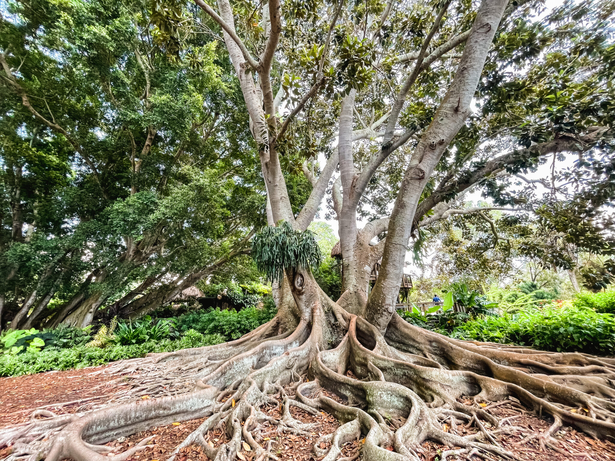 A Complete Guide to the Best Things to Do in Sarasota, Florida