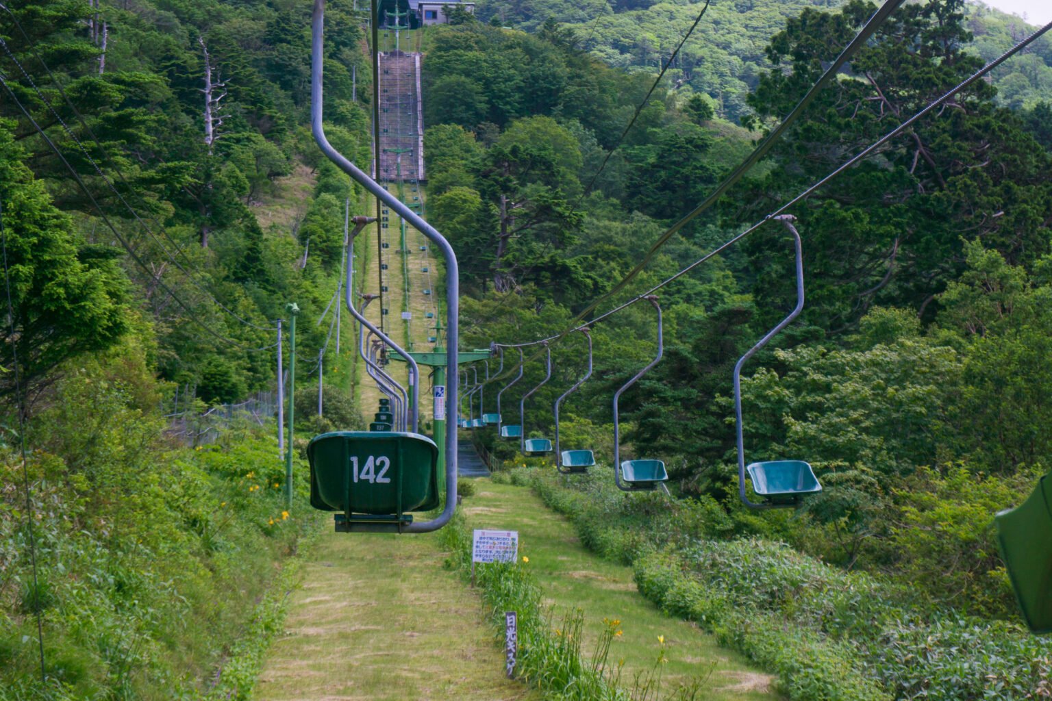A Complete Guide to Visiting the Iya Valley in Shikoku, Japan