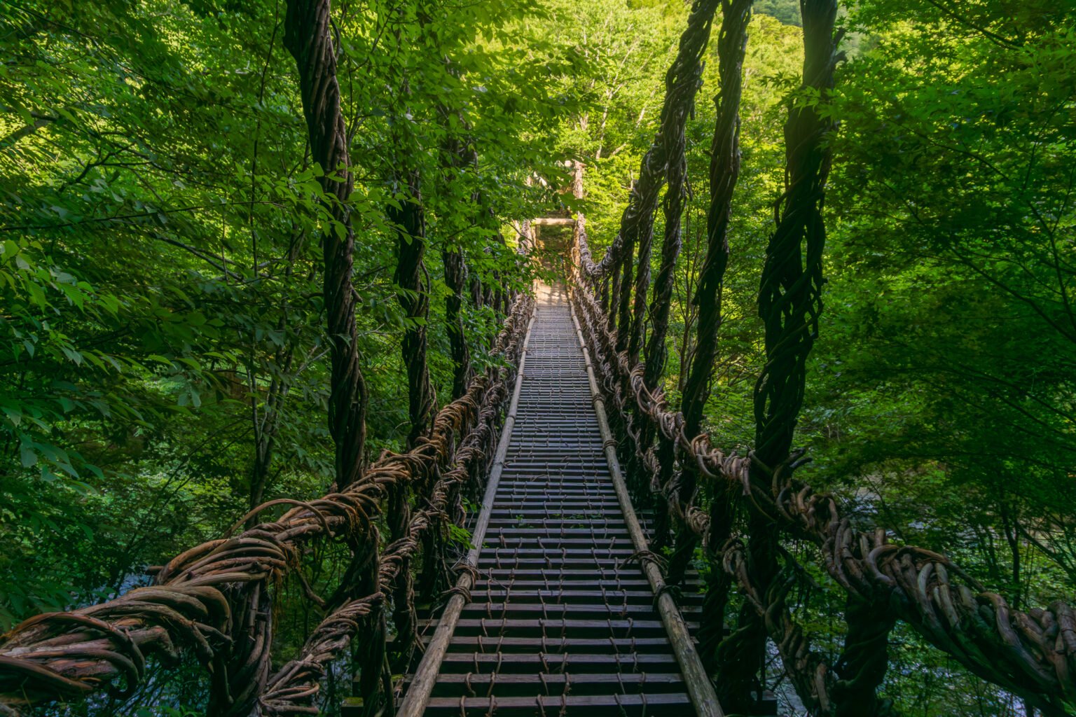 A Complete Guide to Visiting the Iya Valley in Shikoku, Japan