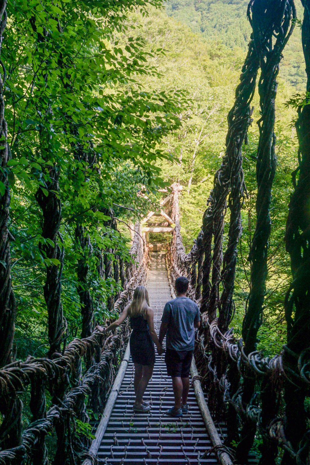 A Complete Guide to Visiting the Iya Valley in Shikoku, Japan