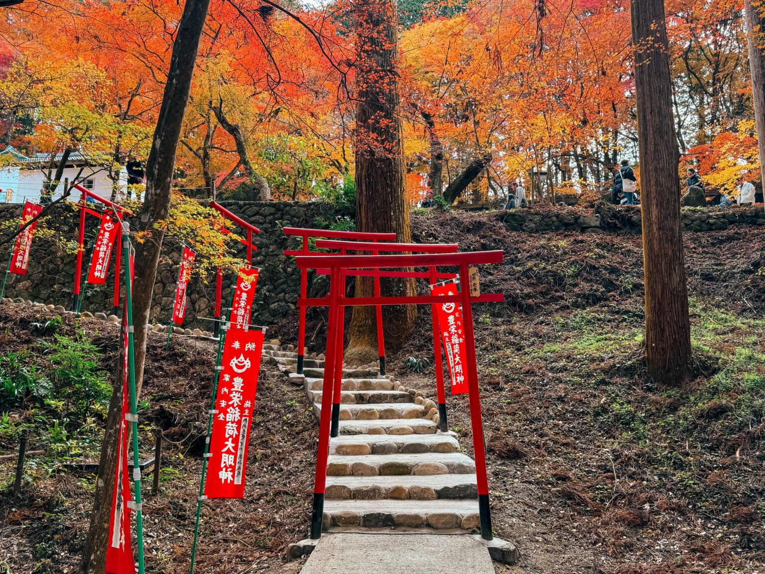 A Complete Guide to Visiting Korankei Gorge in Asuke, Japan