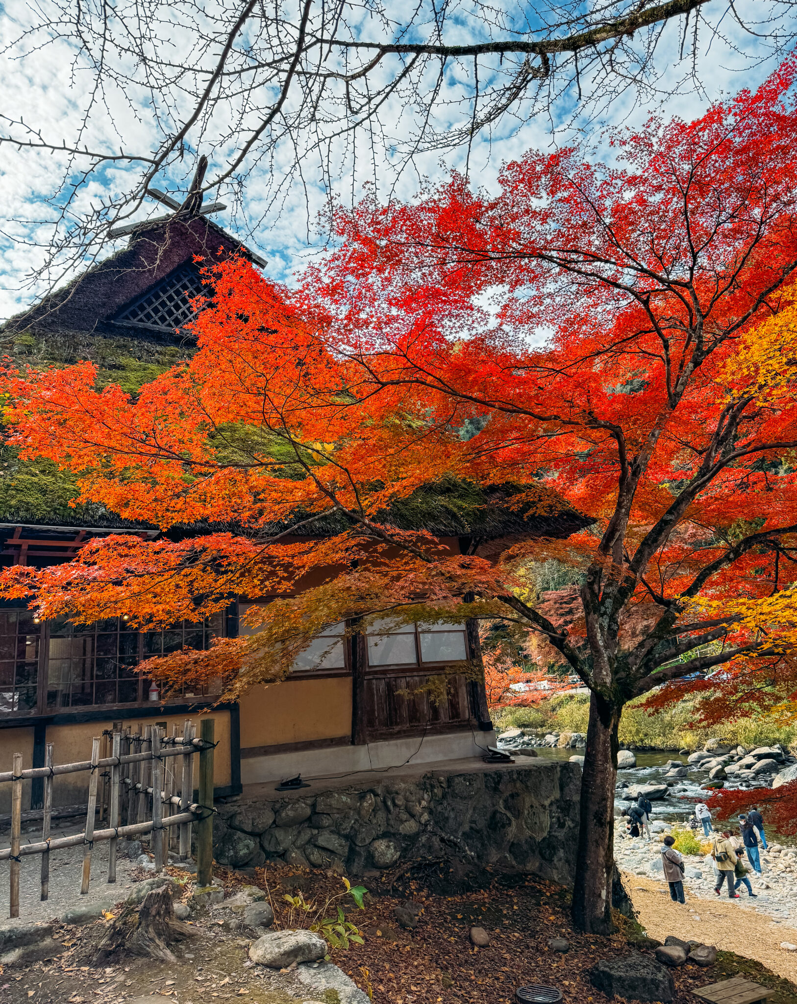 A Complete Guide to Visiting Korankei Gorge in Asuke, Japan