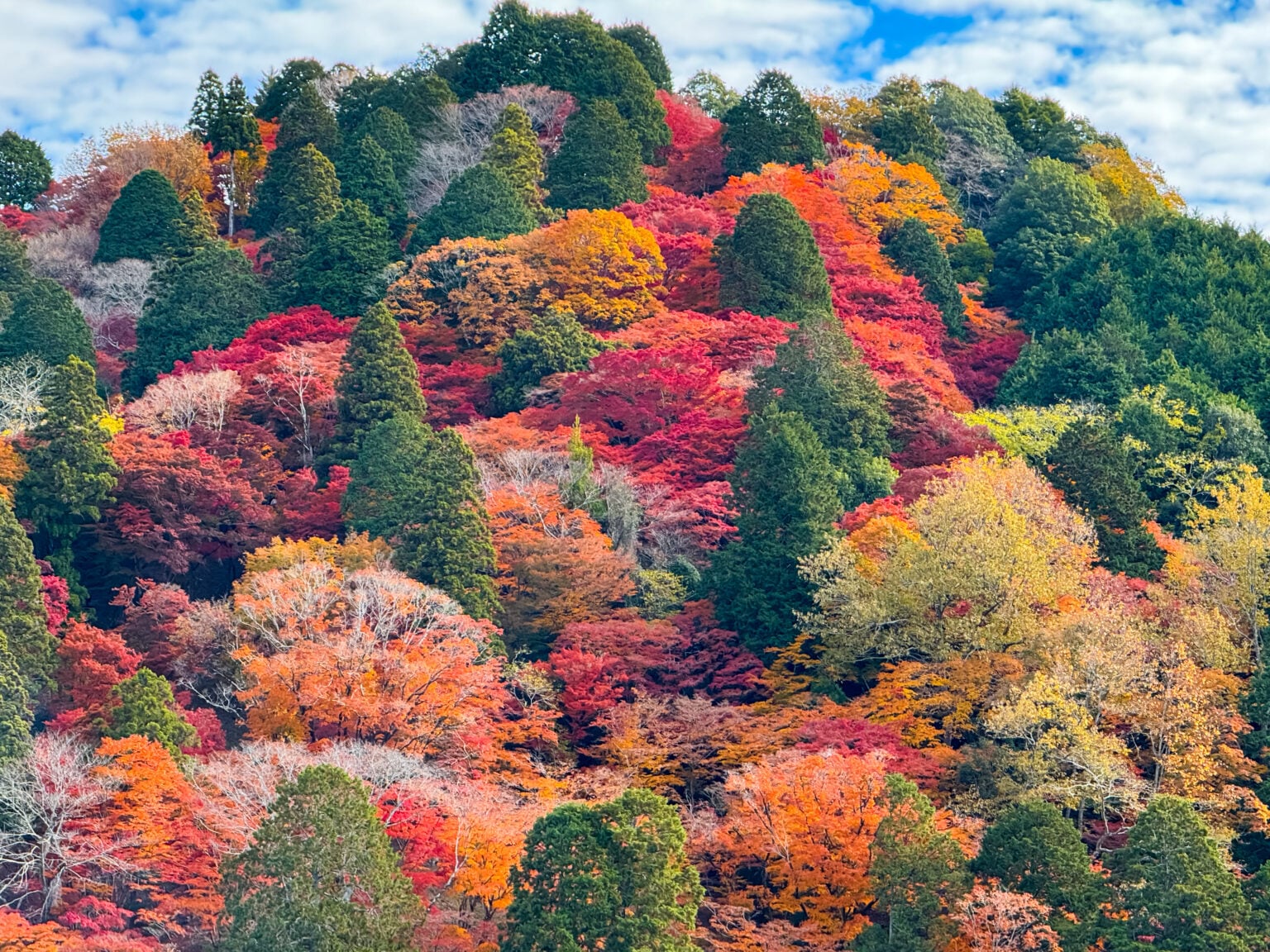A Complete Guide to Visiting Korankei Gorge in Asuke, Japan