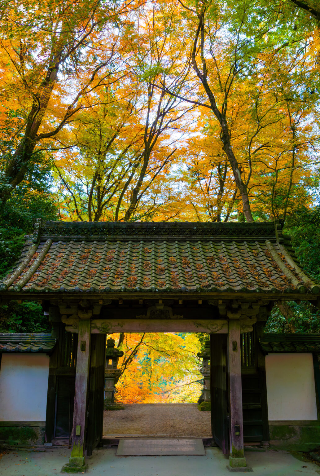 A Complete Guide to Visiting Korankei Gorge in Asuke, Japan