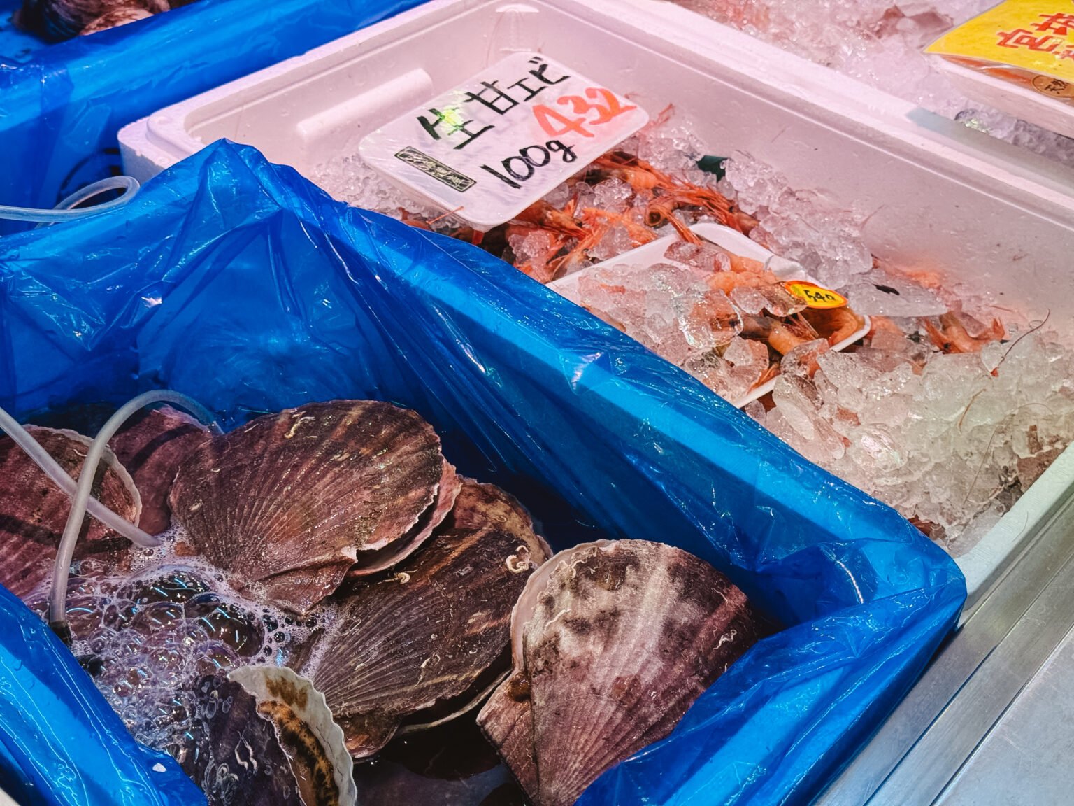 A Complete Sendai Itinerary: What to Do & Where to Eat in Sendai